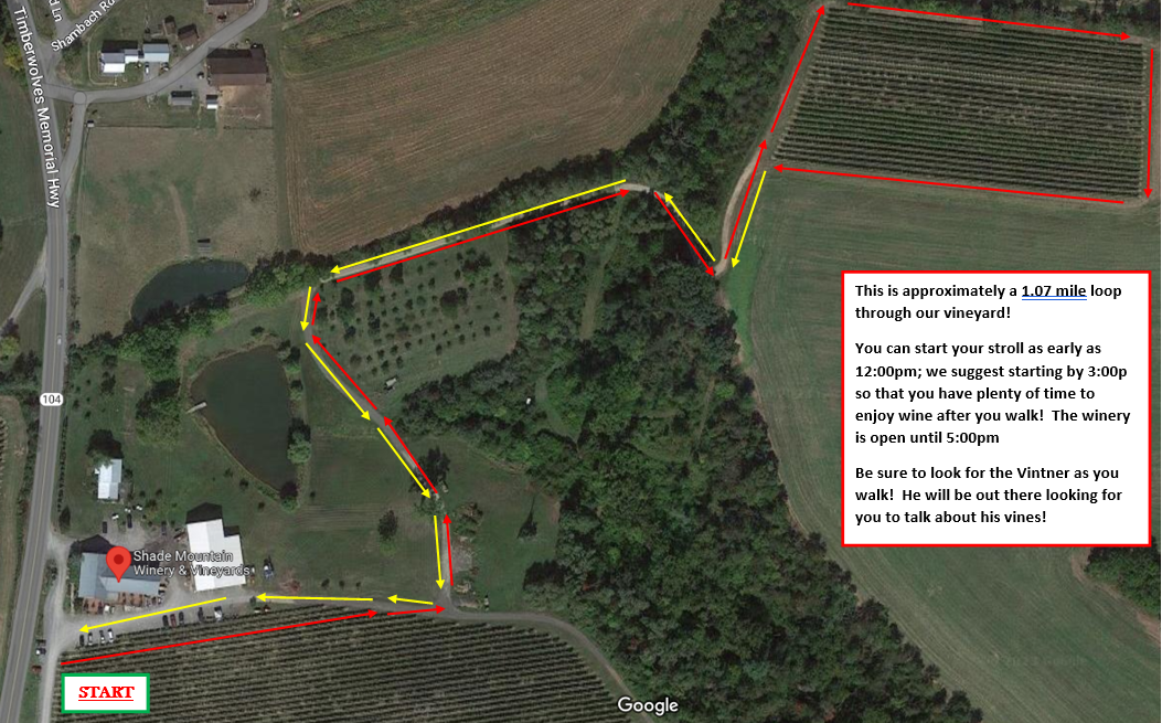 Walk through the Vines @ Shade Mountain Winery Middleburg - Shade ...
